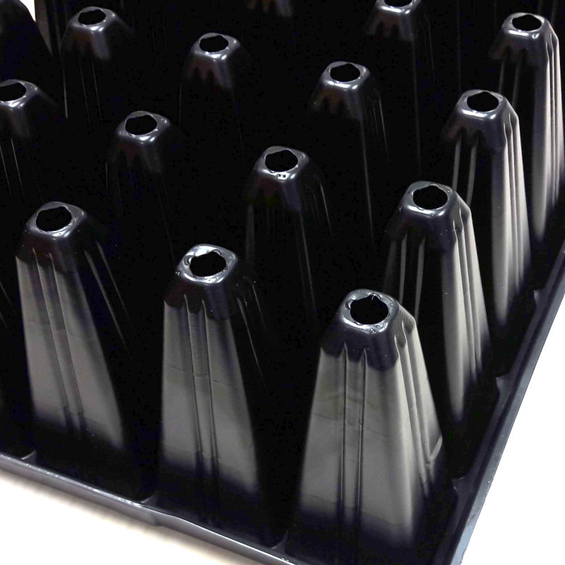 50 cell forestry tray